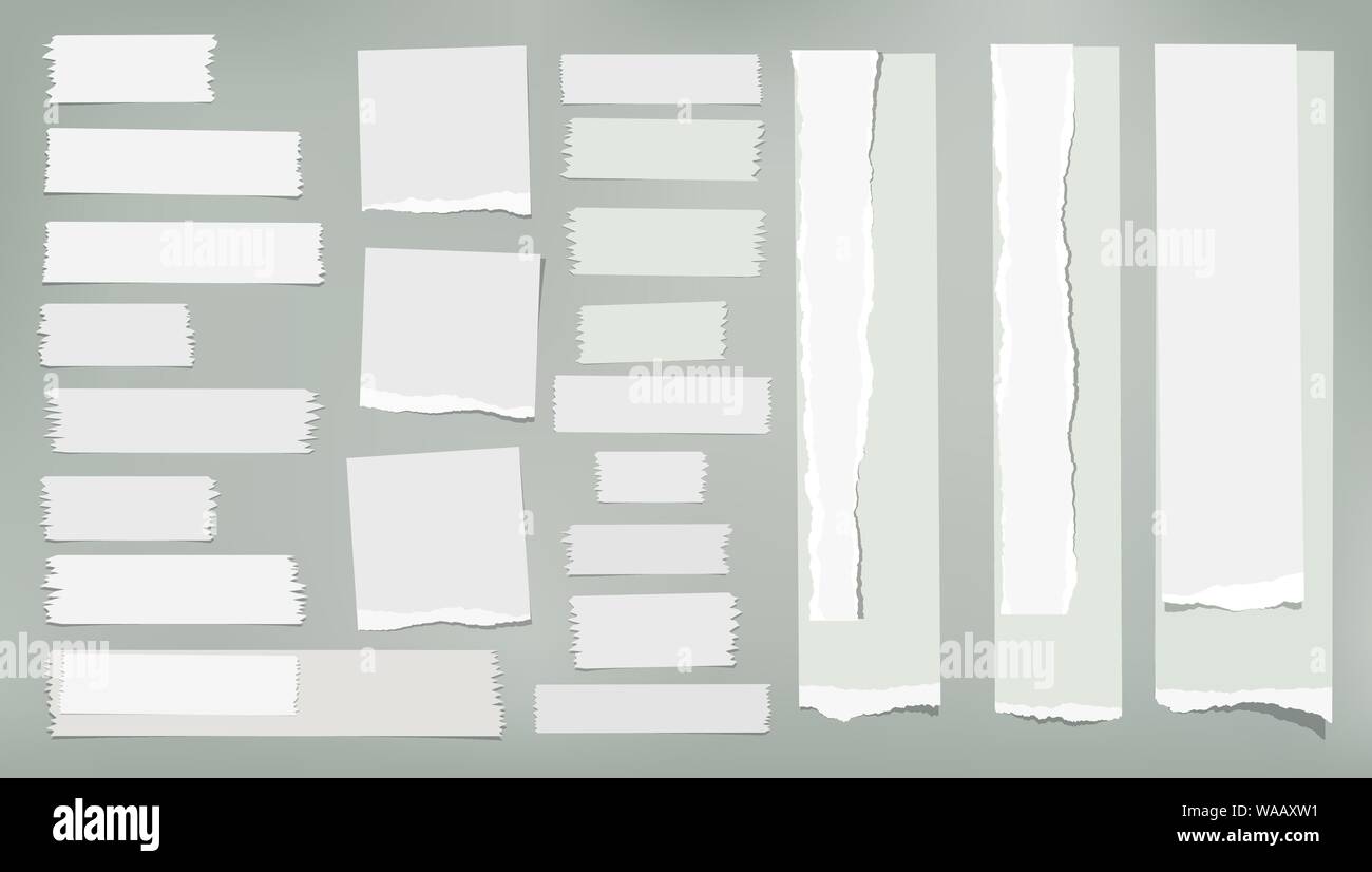 Set of torn white and light green note, notebook strips, paper pieces ...