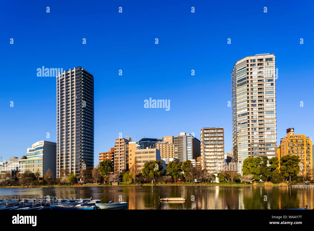 Japan, Honshu, Tokyo, Ueno, Ueno Park, Shinobazu Pond and Ueno Skyline ...