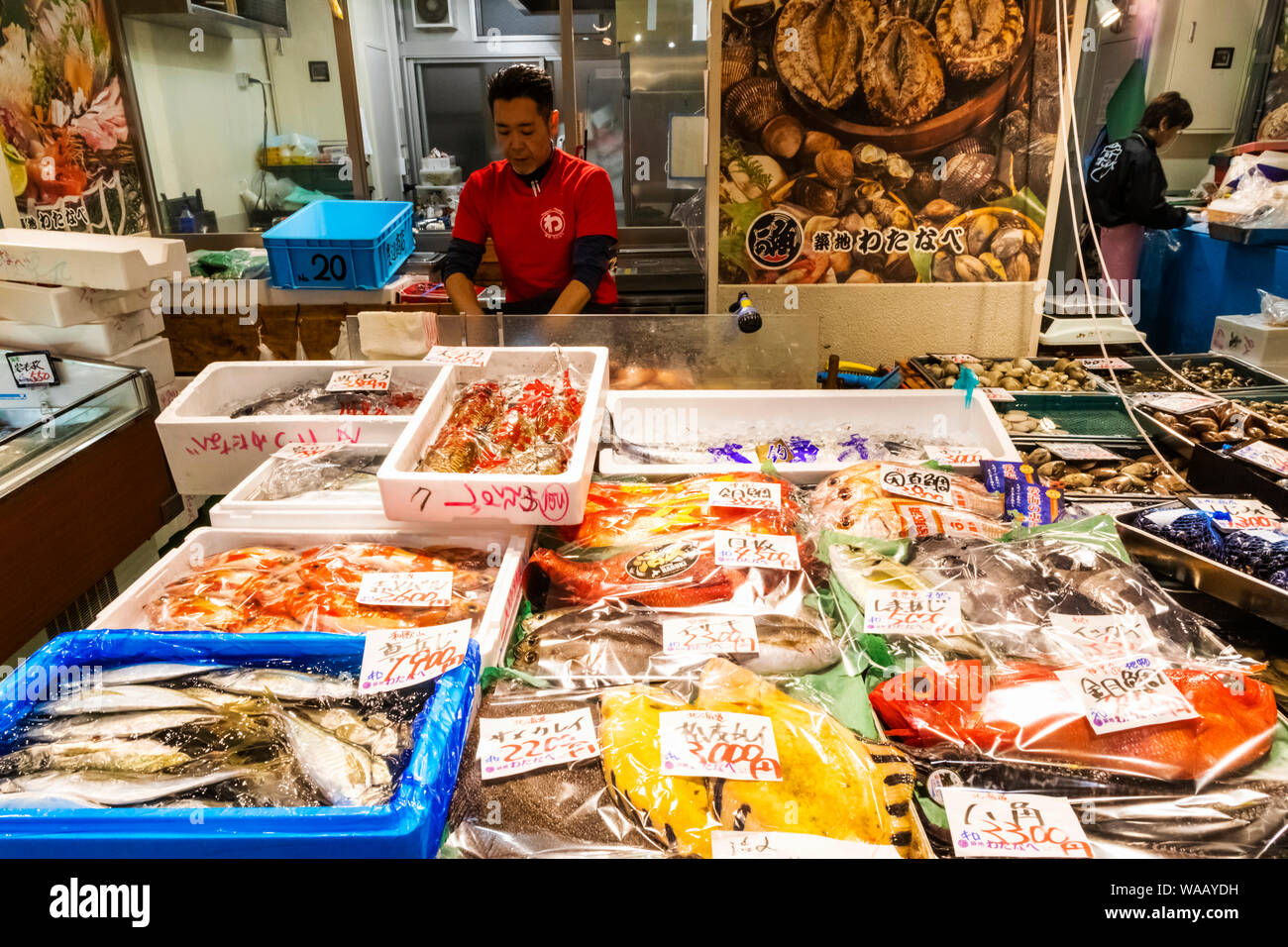 Japan, Honshu, Tokyo, Tsukiji Market, Fish Shop Display, 30075551 Stock ...