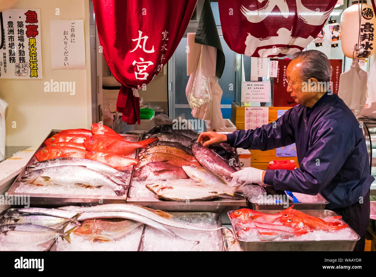 Japan, Honshu, Tokyo, Tsukiji Market, Fish Shop Display, 30075550 Stock ...