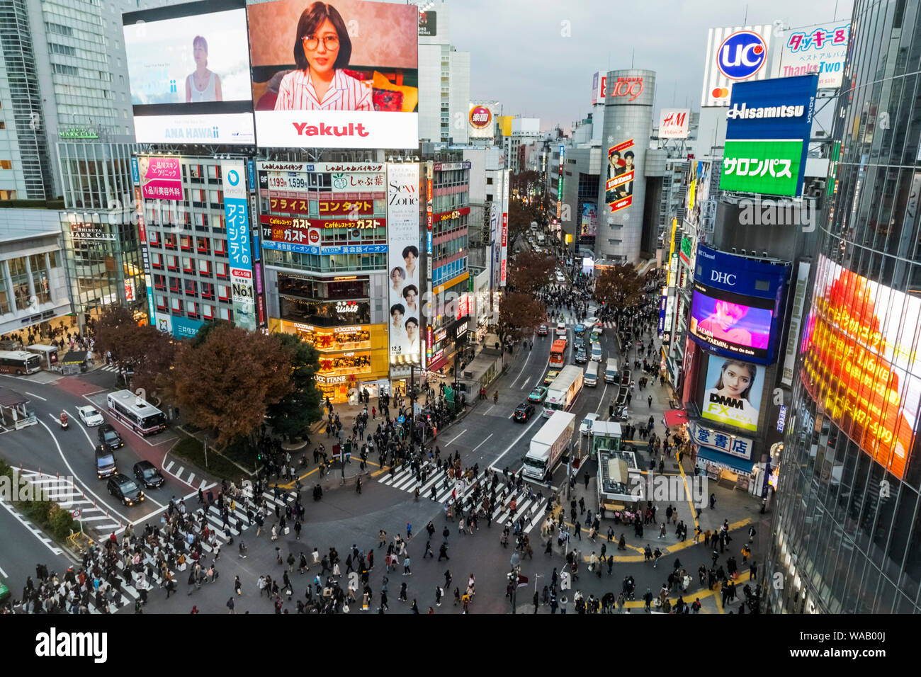 Japan, Honshu, Tokyo, Shibuya, Night Lights and Skyline, 30075893 Stock ...