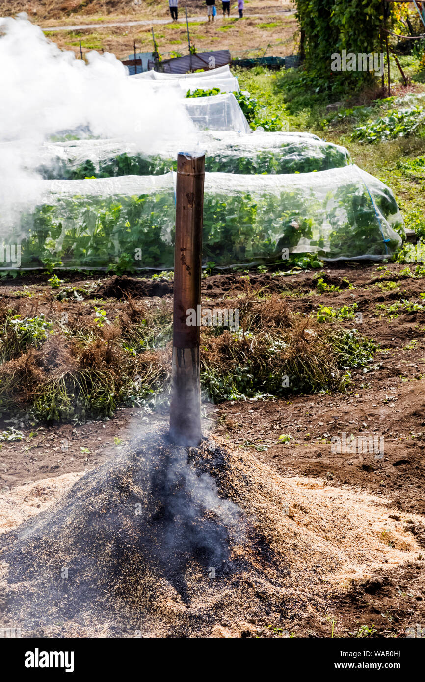 Japan, Honshu, Yamanashi Prefecture, Traditional Rice Husk Baking ...