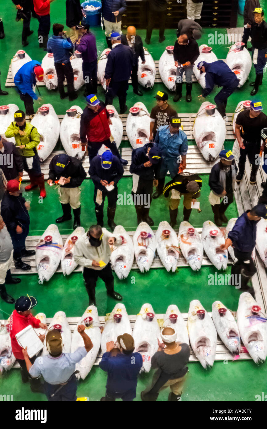 Japan, Honshu, Tokyo, Toyosu Fish Market, View of The Early Morning ...