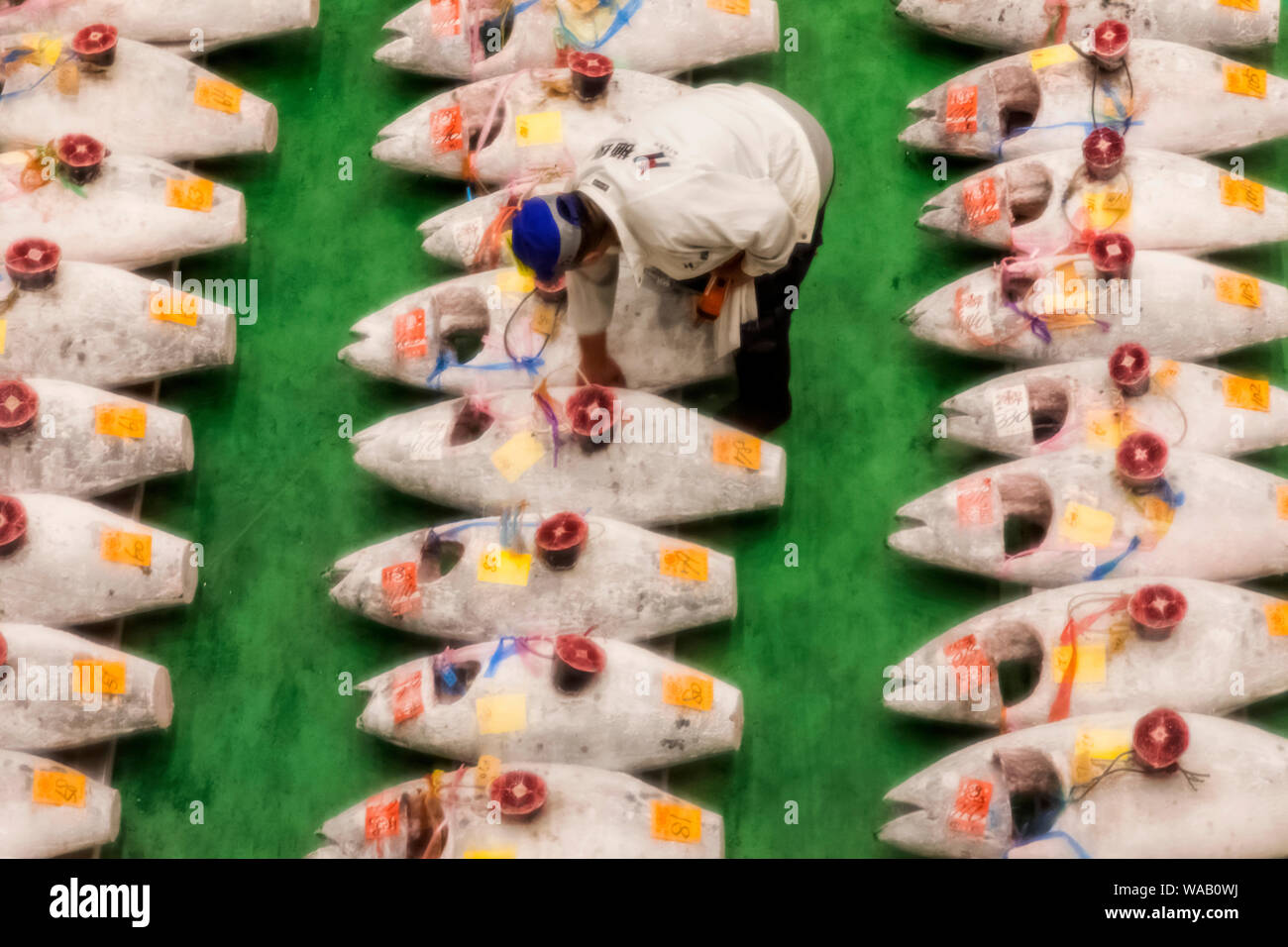 Japan, Honshu, Tokyo, Toyosu Fish Market, View of The Early Morning ...
