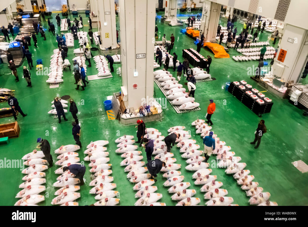 Japan, Honshu, Tokyo, Toyosu Fish Market, View of The Early Morning ...