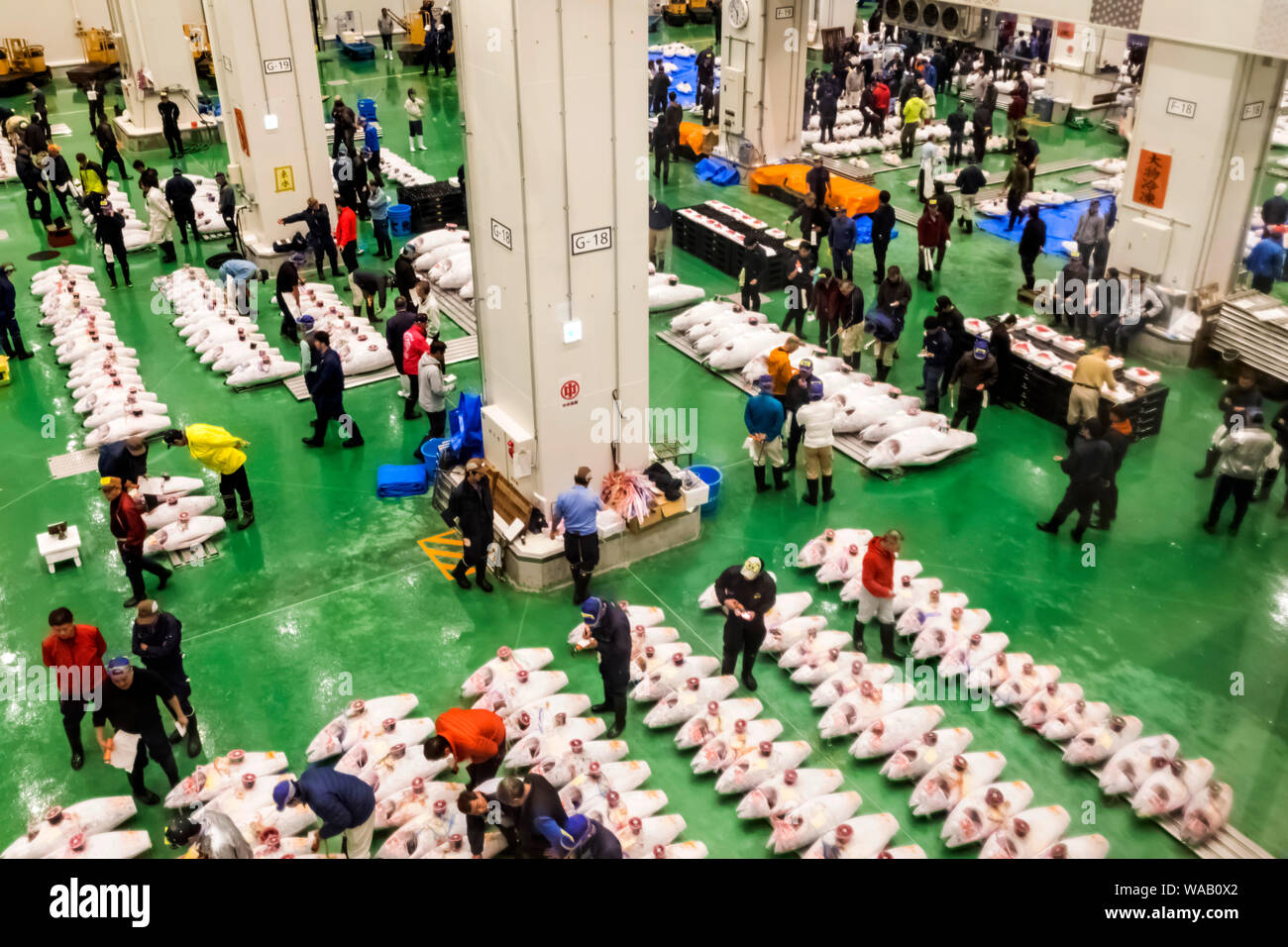 Japan, Honshu, Tokyo, Toyosu Fish Market, View of The Early Morning ...