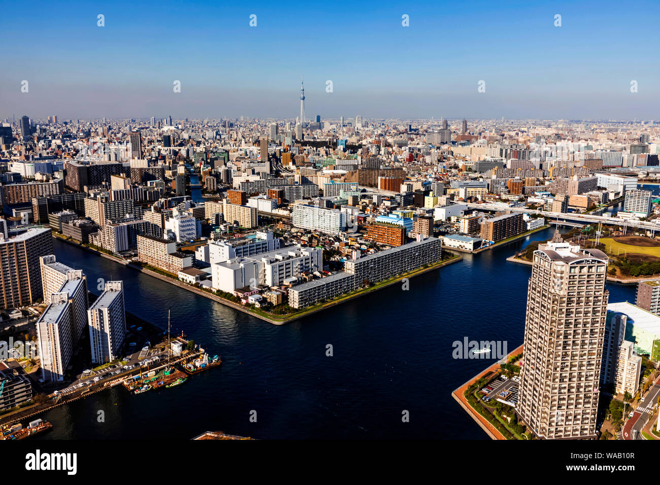 Japan, Honshu, Tokyo, Toyosu Area Skyline, 30076541 Stock Photo - Alamy