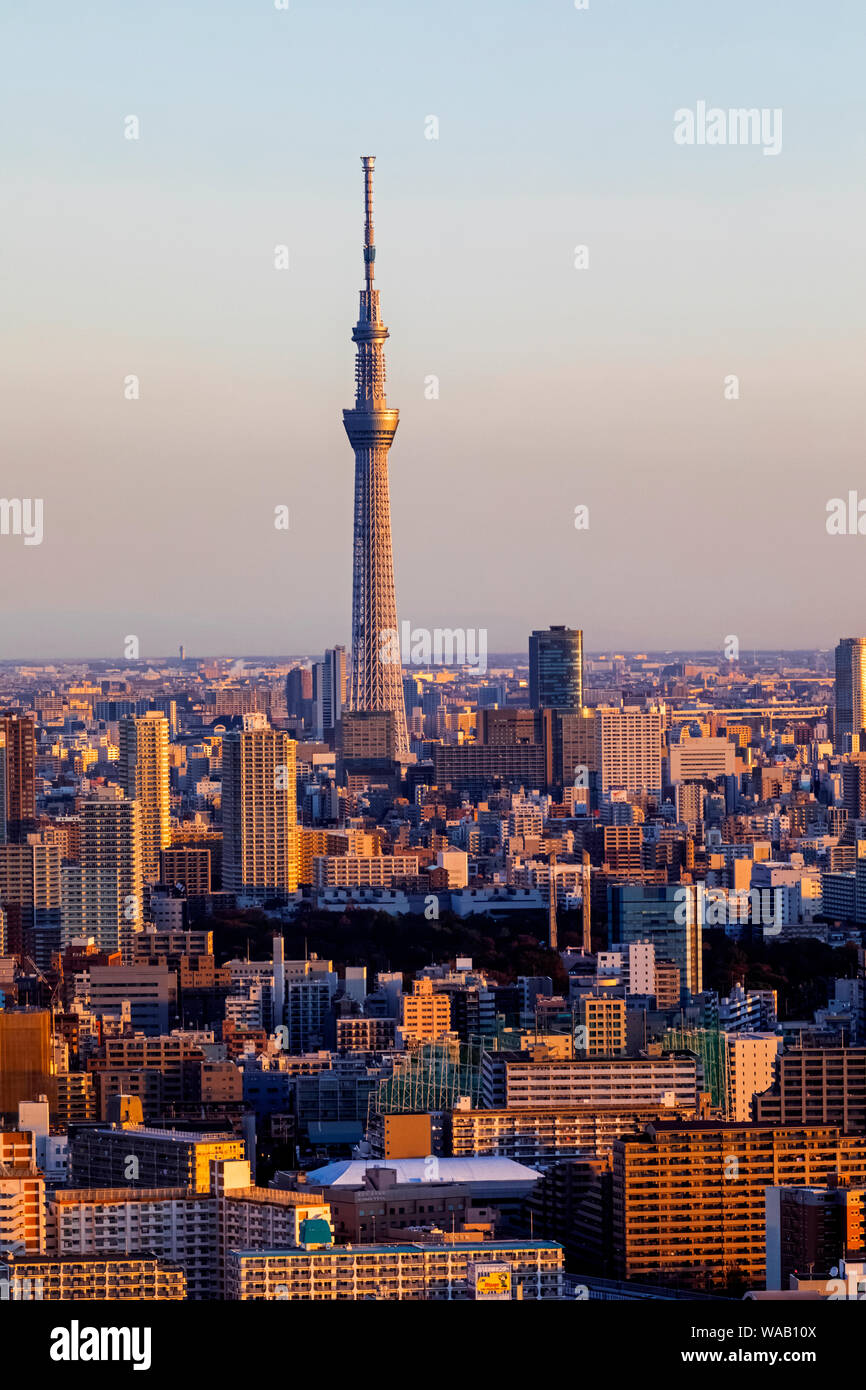 Japan, Honshu, Tokyo, Toyosu Area Skyline and Skytree Tower, 30076531 ...