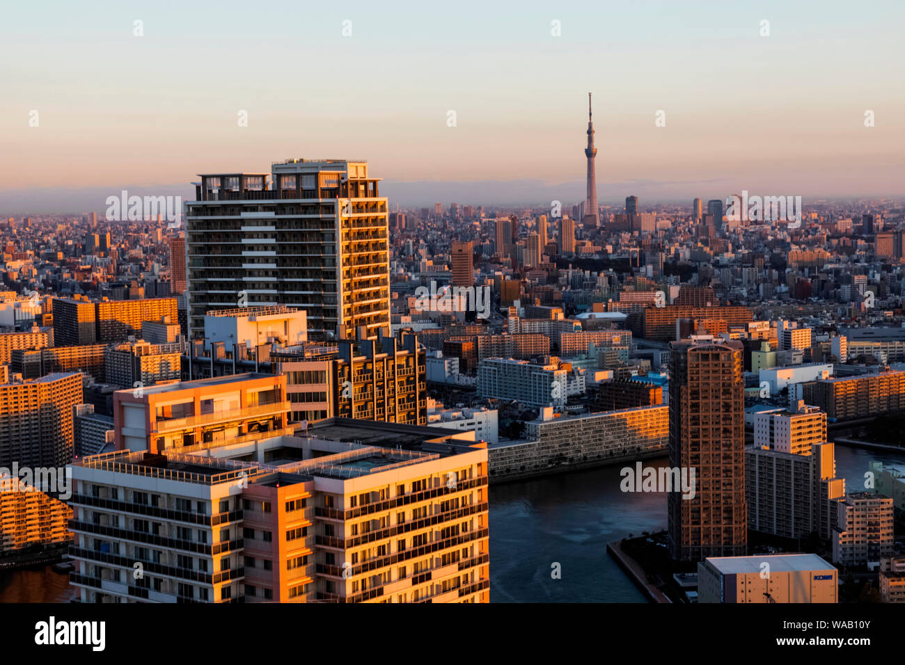 Japan, Honshu, Tokyo, Toyosu Area Skyline, 30076544 Stock Photo - Alamy