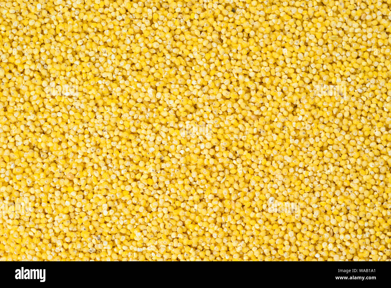 background, texture - pearl millet grain Stock Photo - Alamy