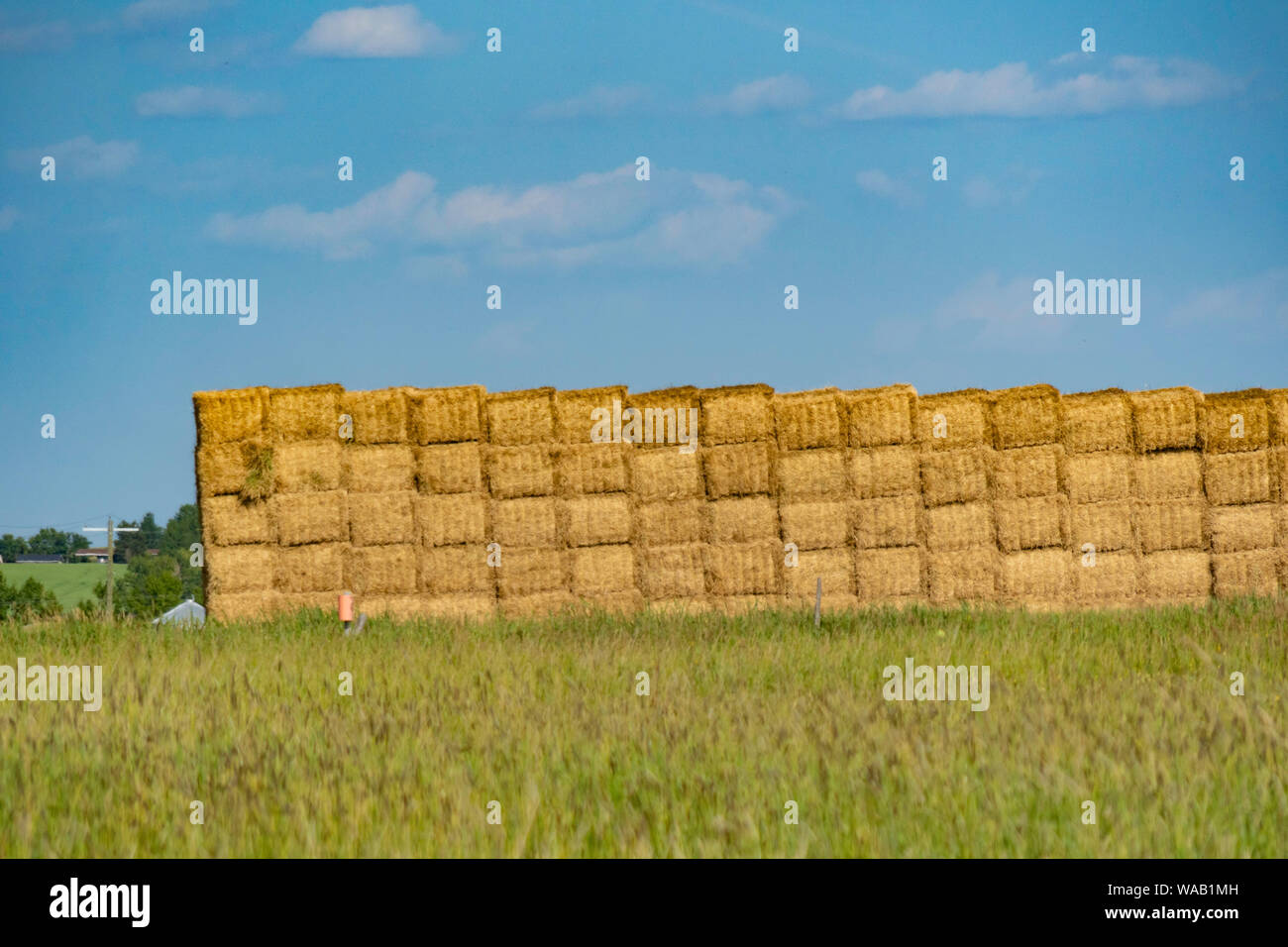 Hay squares hi-res stock photography and images - Alamy