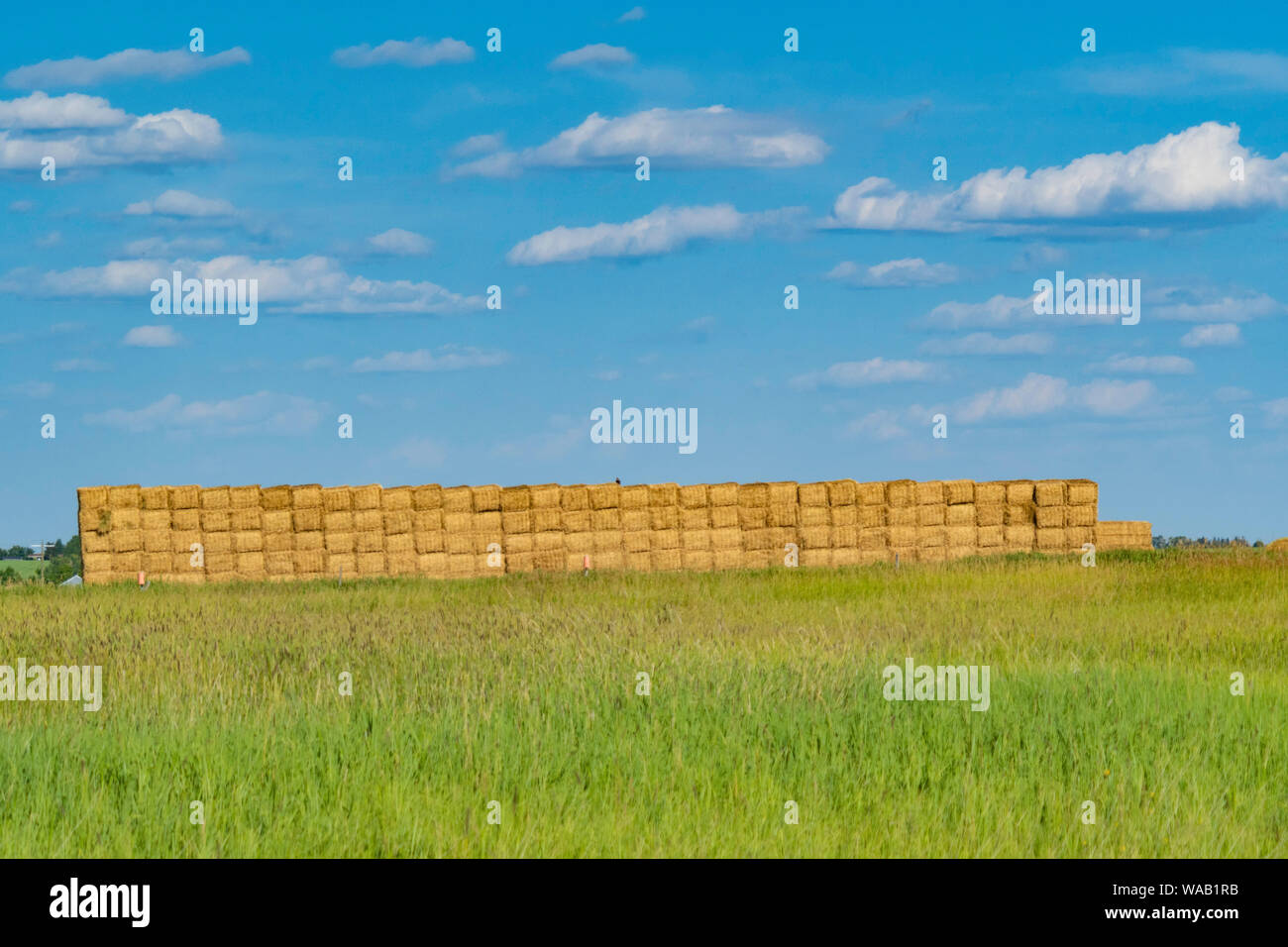 Hay squares hi-res stock photography and images - Alamy