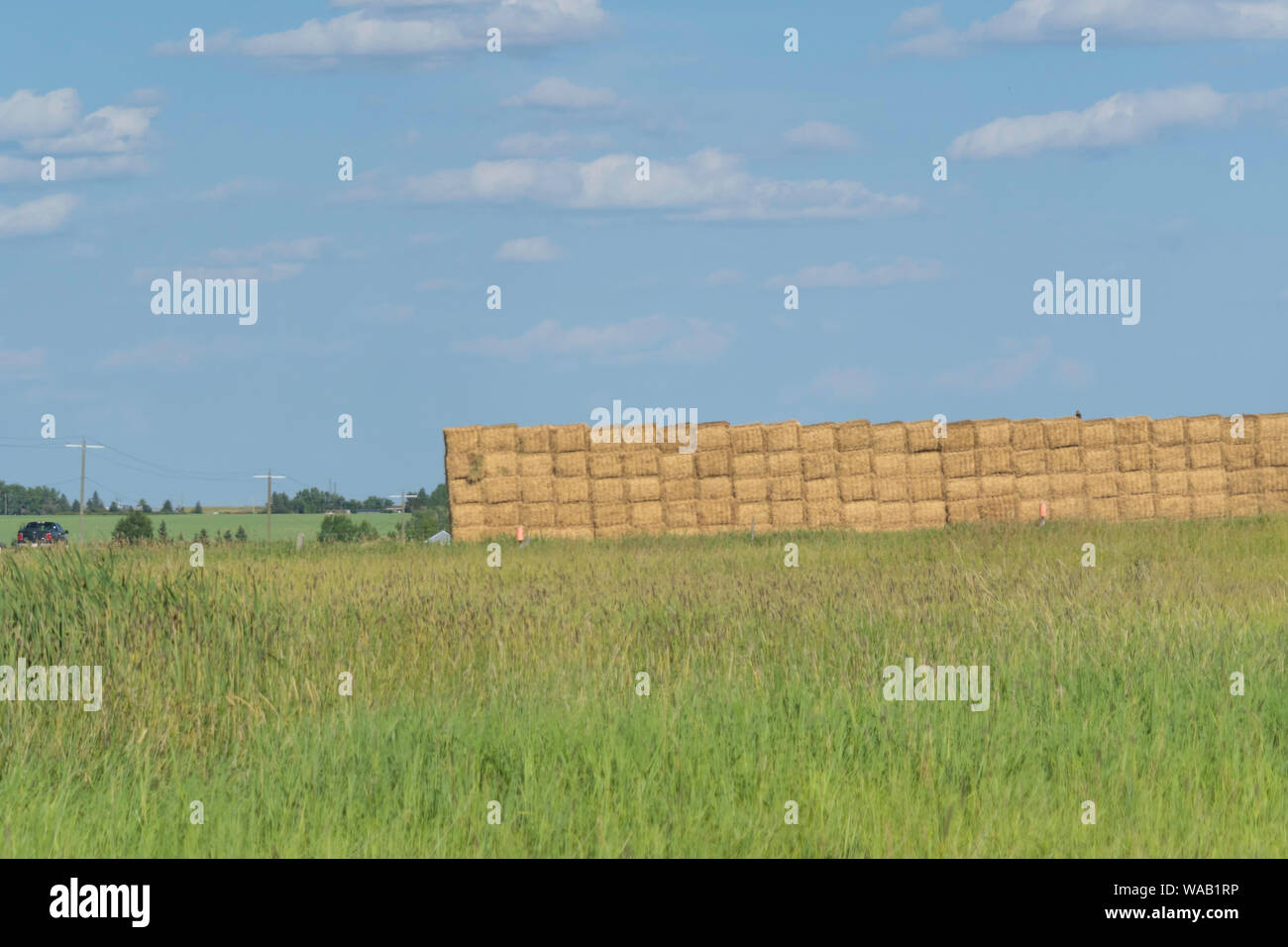 Square bales of hay hi-res stock photography and images - Alamy