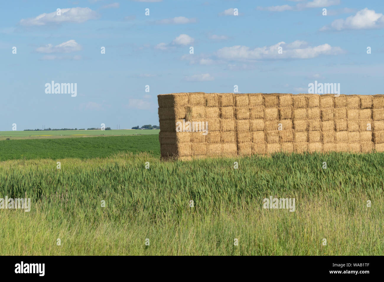 Square bales of hay hi-res stock photography and images - Alamy