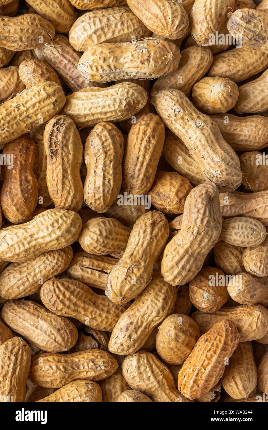 Shelling Peanuts High Resolution Stock Photography and Images - Alamy
