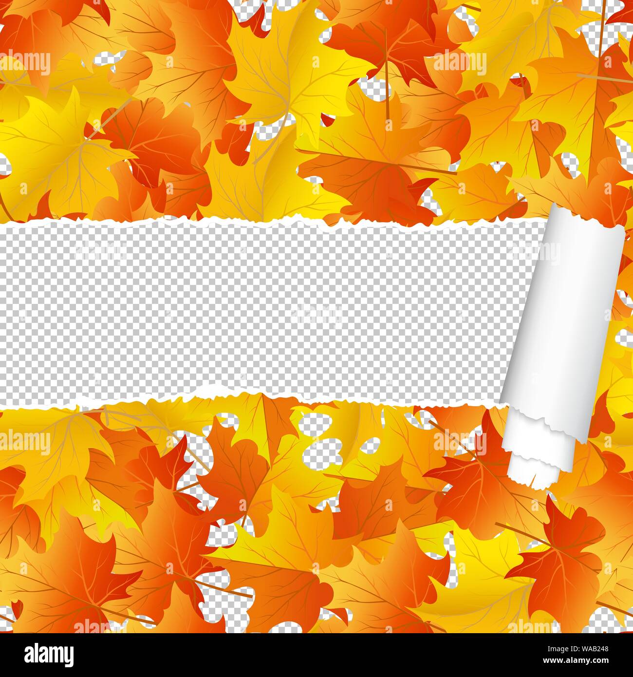 Autumn Maple Seamless Pattern With Ripped Stripe. Transparency Grid ...