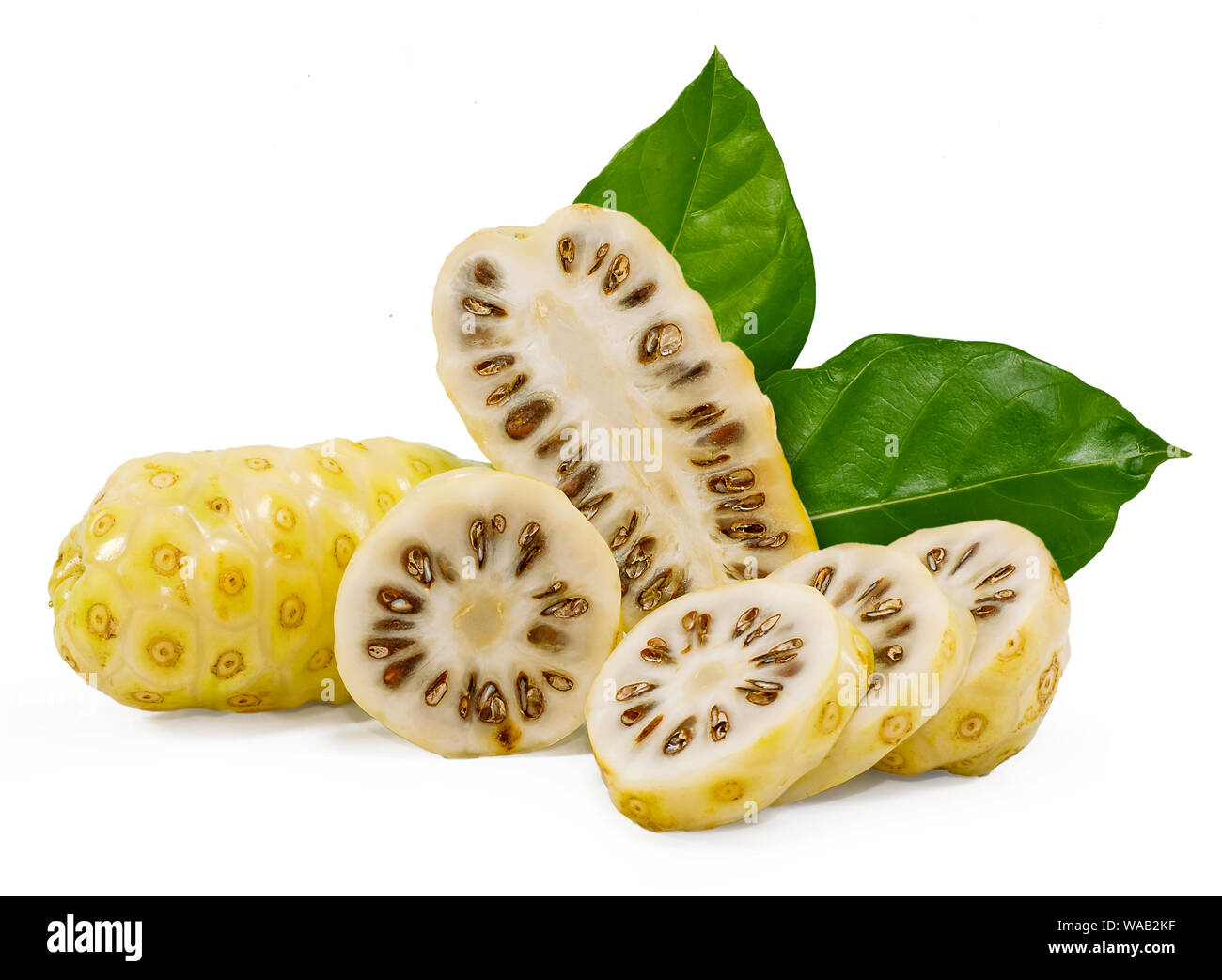 Noni or Morinda fruits isolated on white background Stock Photo - Alamy