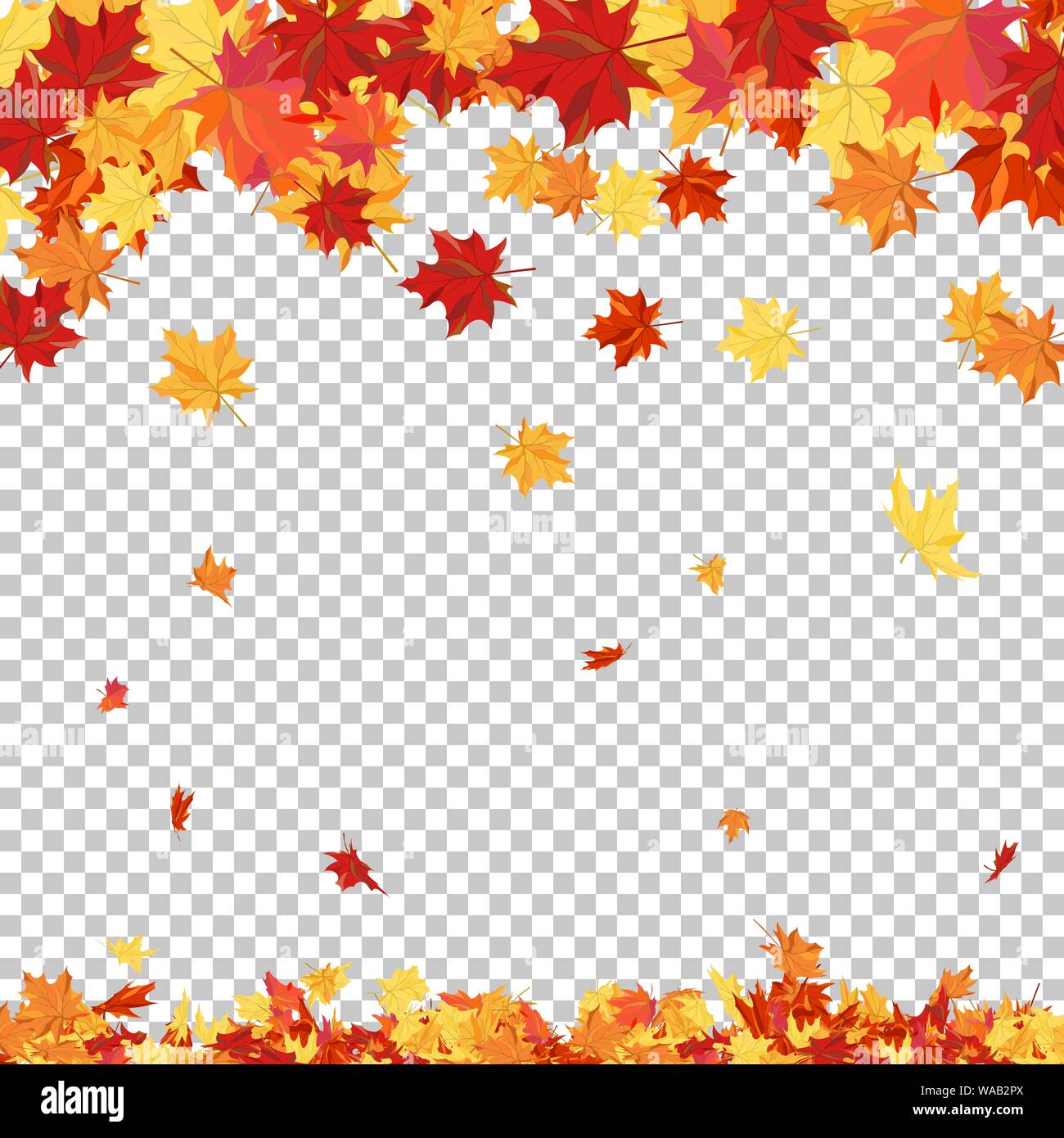 Fall (Autumn) Theme With Maple Leaves. Transparency Grid Background ...