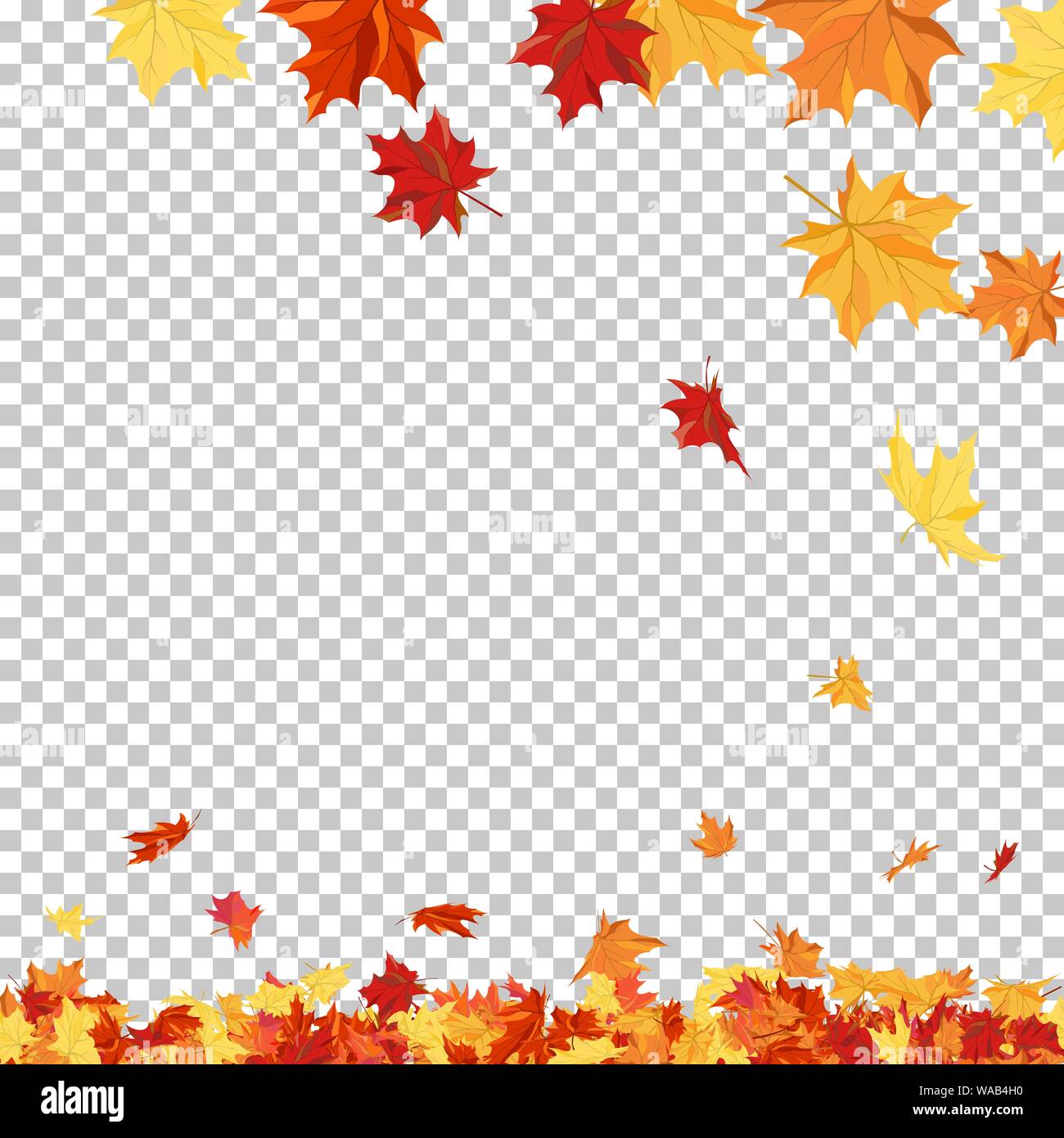 Fall (Autumn) Theme With Maple Leaves. Transparency Grid Background ...