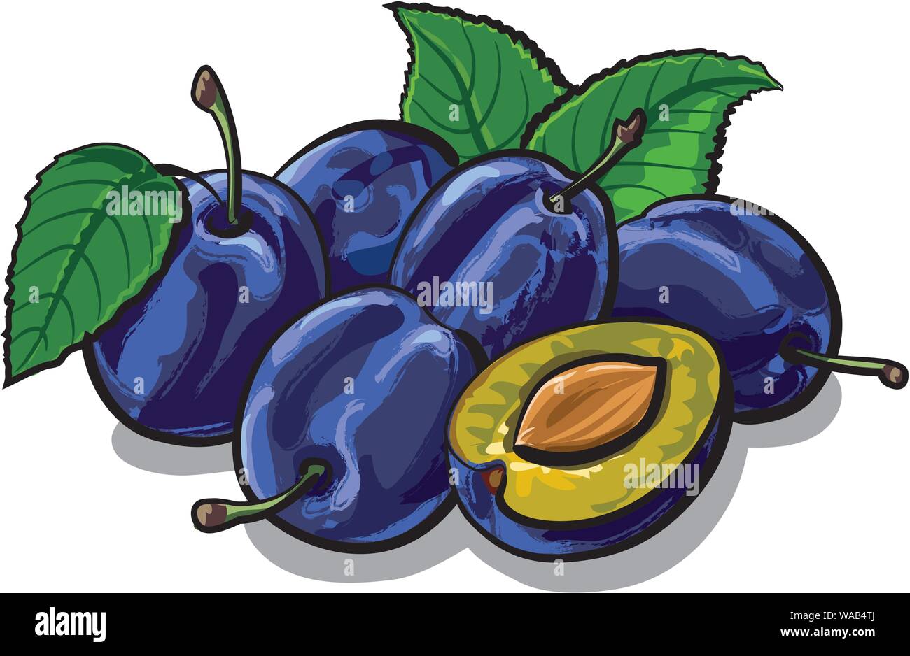 Red and blue plums Stock Vector Images - Alamy