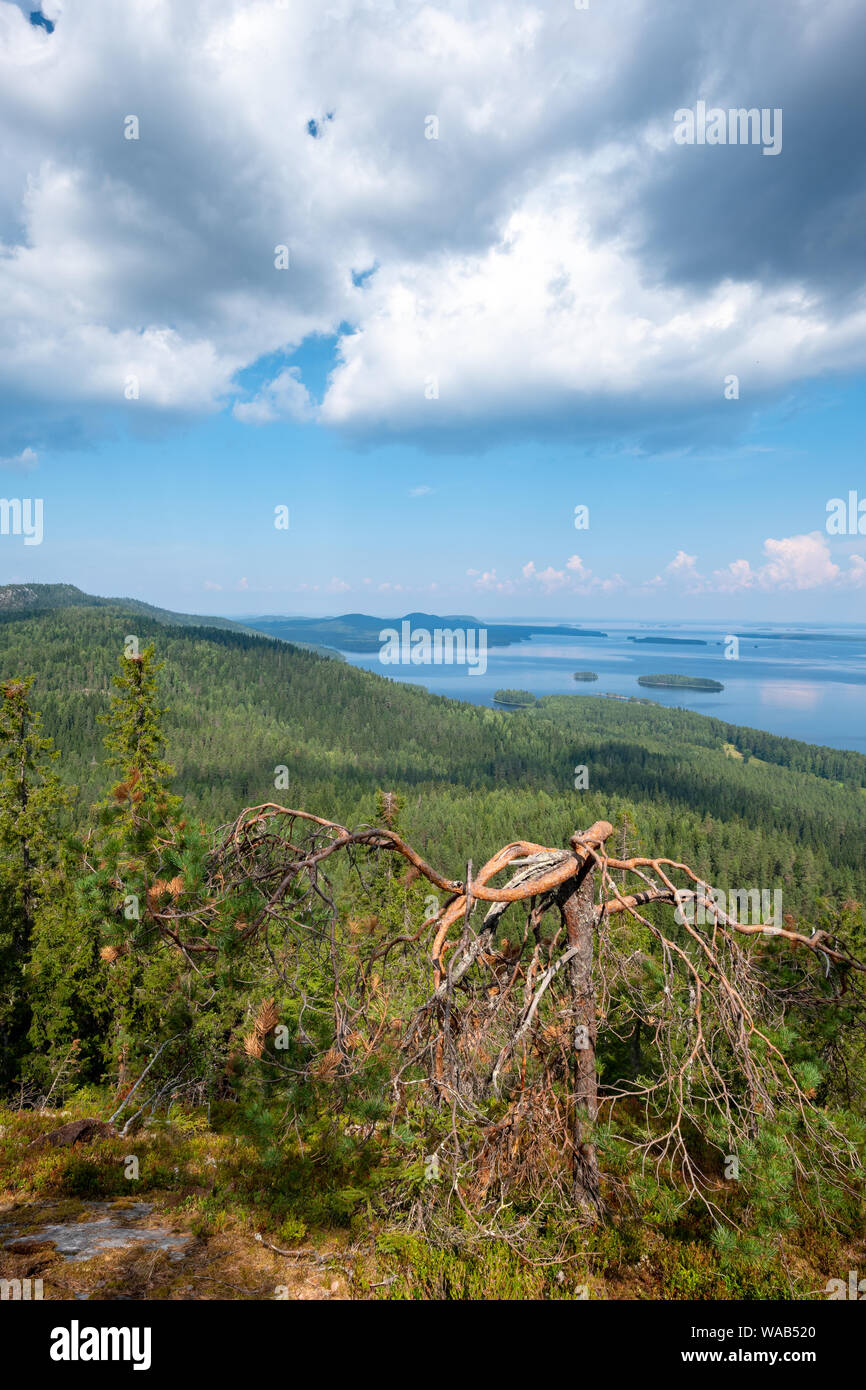 Hills in koli hi-res stock photography and images - Alamy