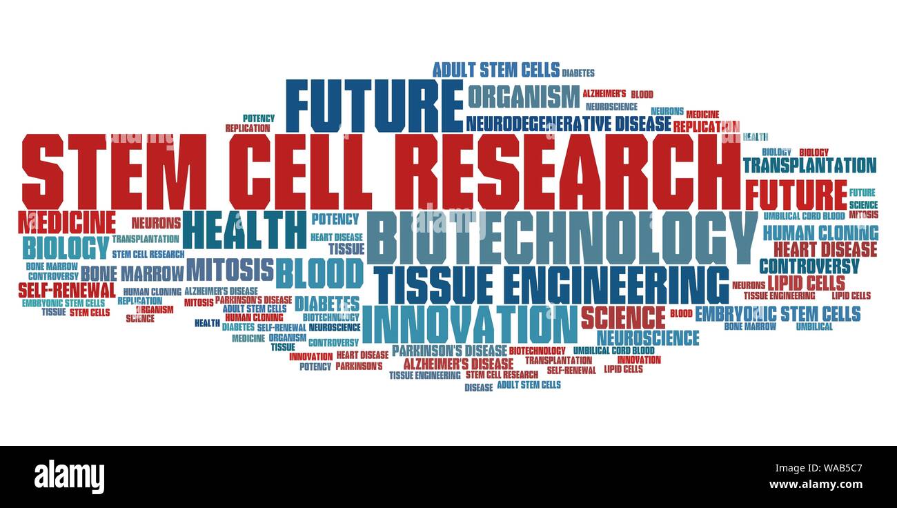 Stem cell research social issues and concepts word cloud illustration ...
