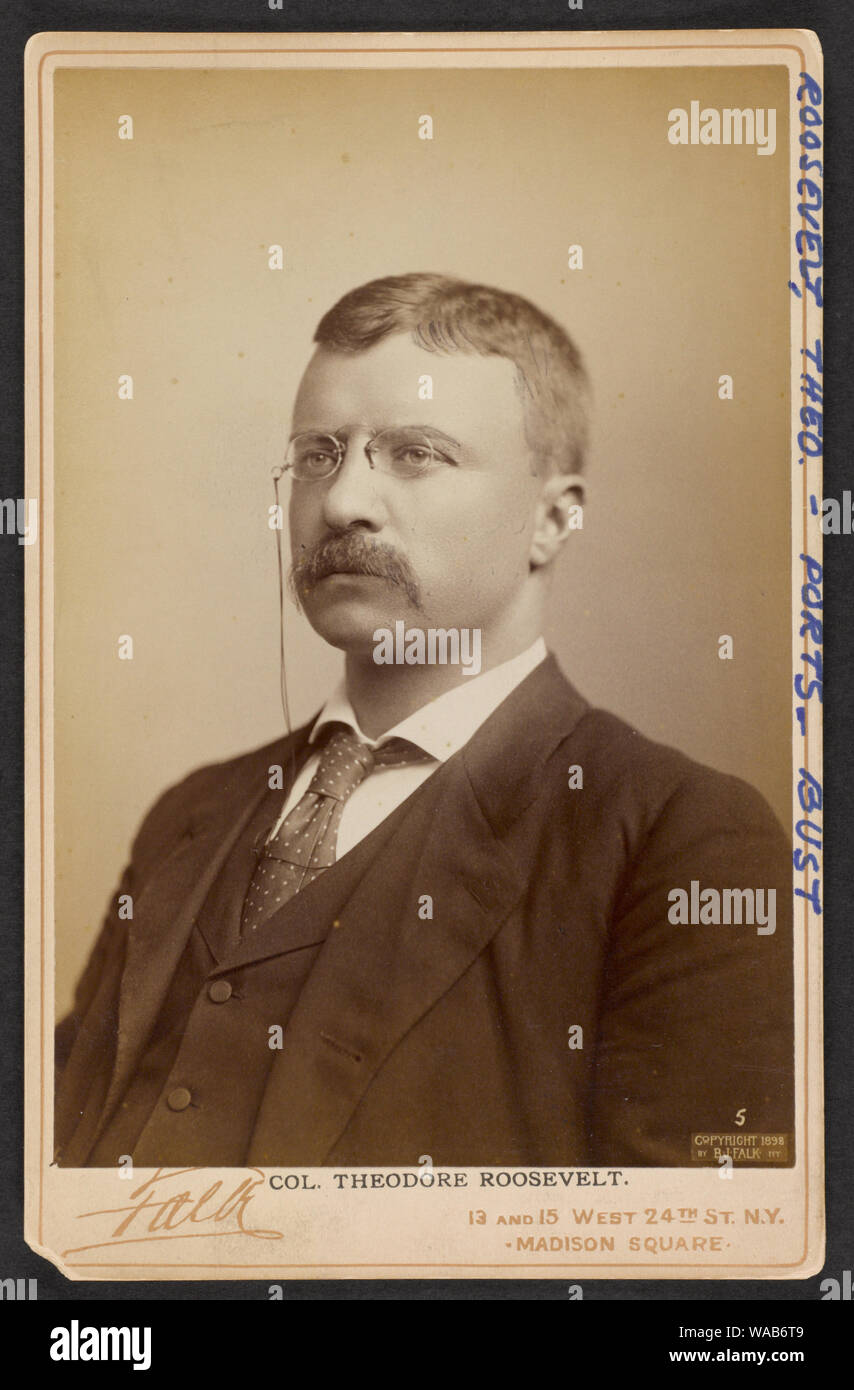 Col theodore roosevelt hi-res stock photography and images - Alamy