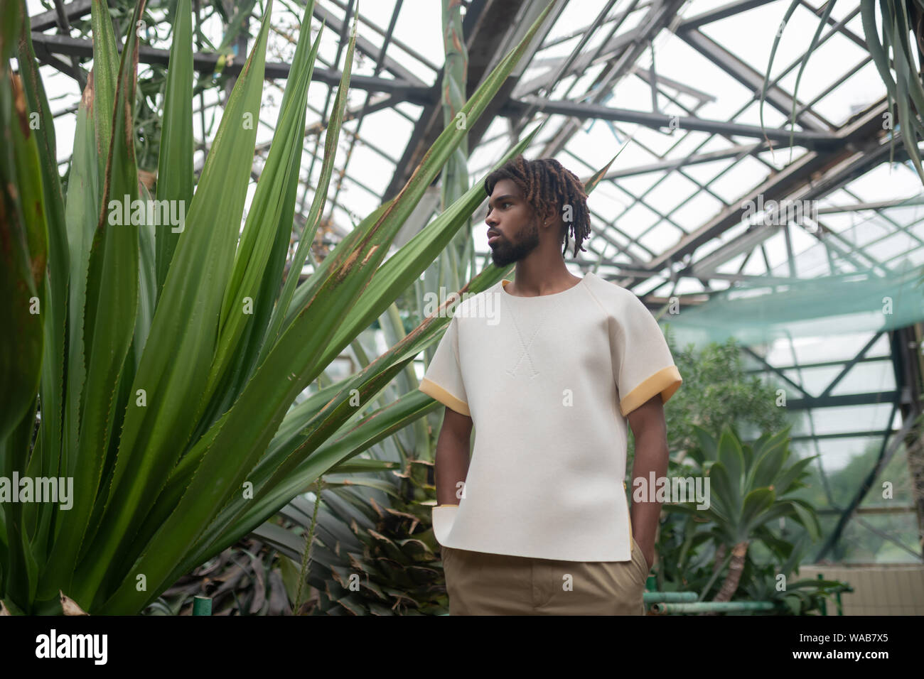 Bearded man standing near palm tree in the greenhouse Stock Photo - Alamy