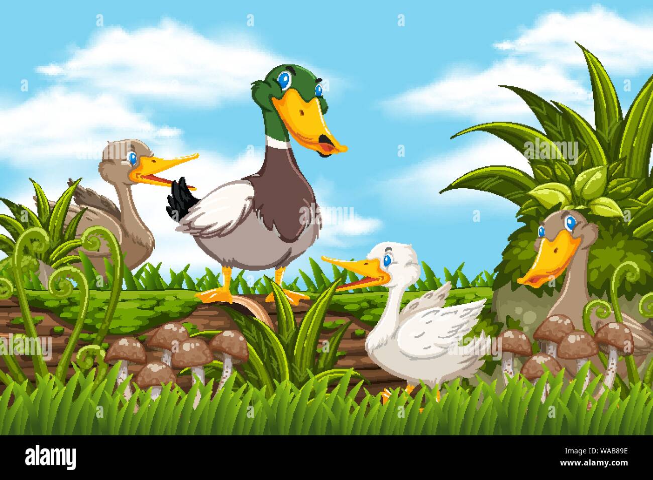 Ducks in woods scene illustration Stock Vector Image & Art - Alamy