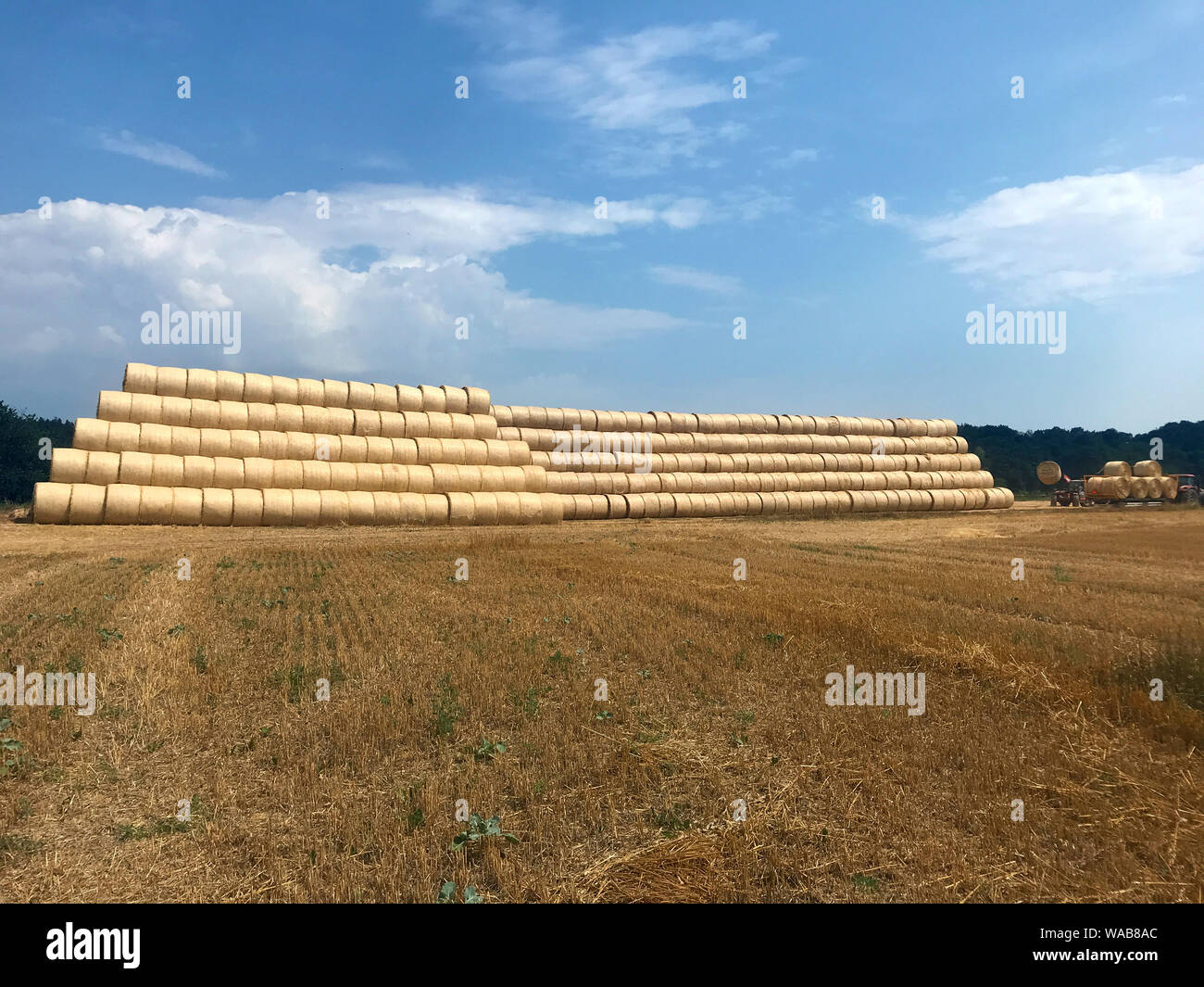 Hay bales on storage on the field Stock Photo - Alamy
