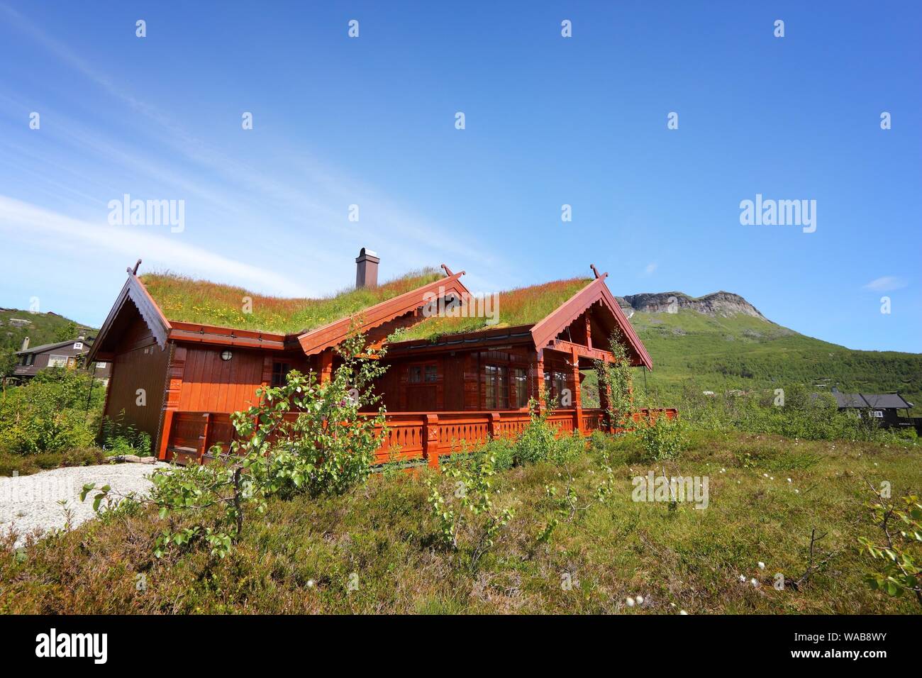 HORDALAND, NORWAY - JULY 17, 2015: Traditional wooden house with grass ...