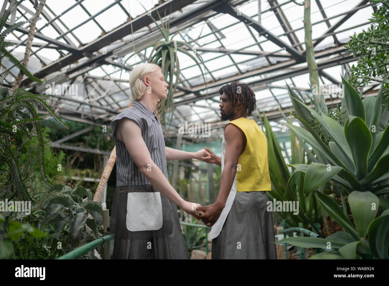 Bearded male model dreadlocks hi-res stock photography and images - Alamy