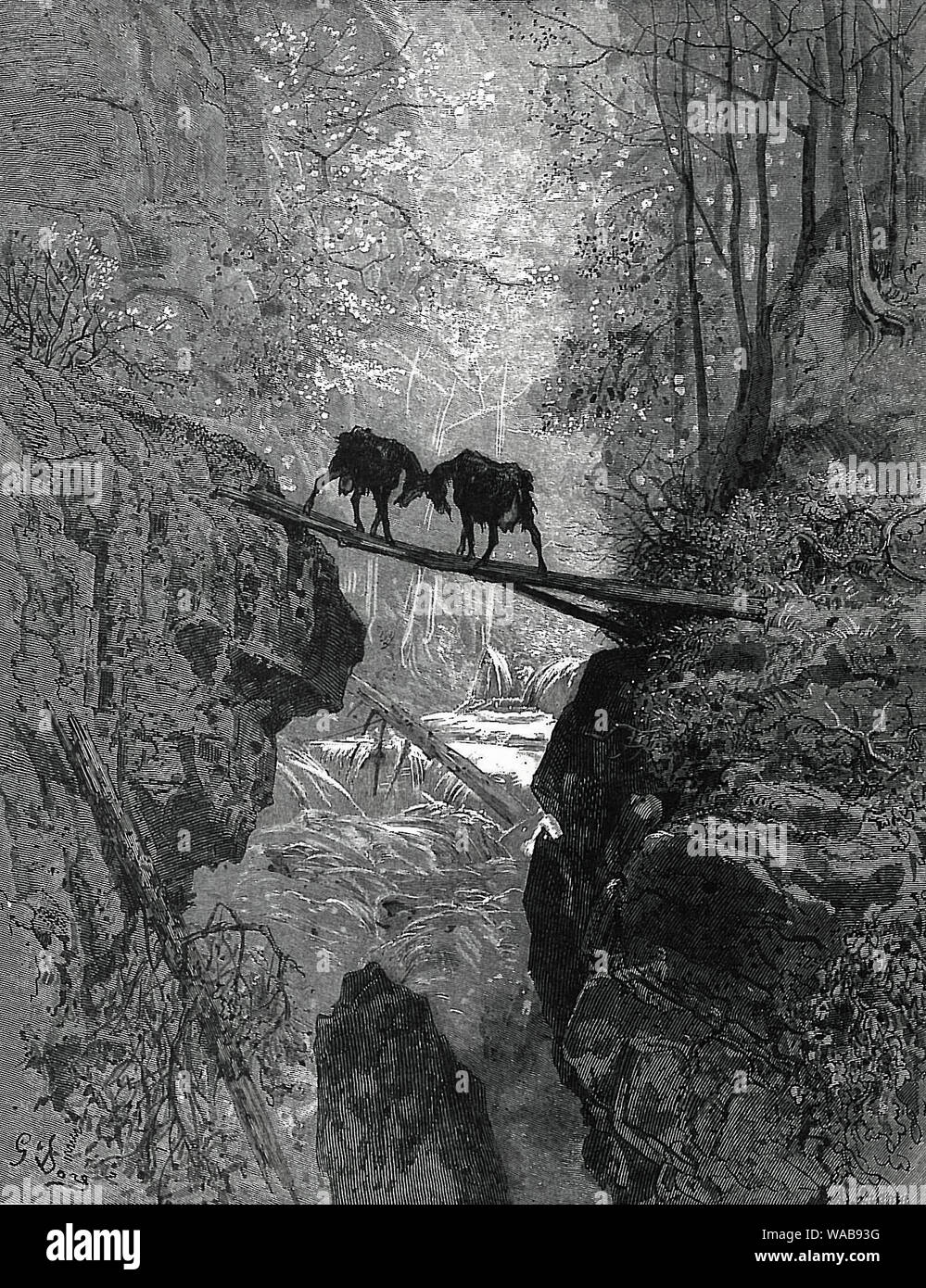 1868 engraving hi-res stock photography and images - Alamy