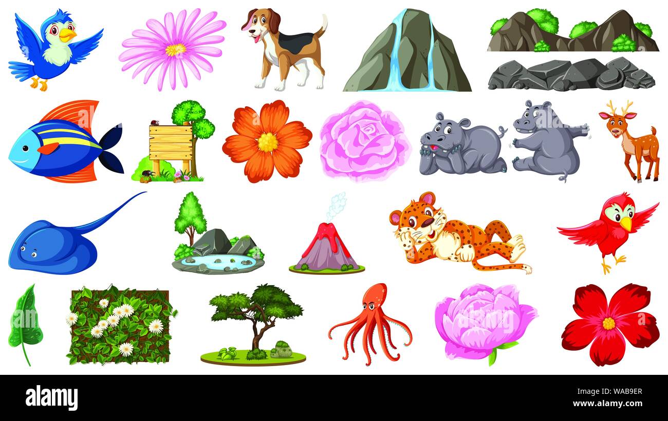 Set of isolated objects theme - animal and plants illustration Stock ...