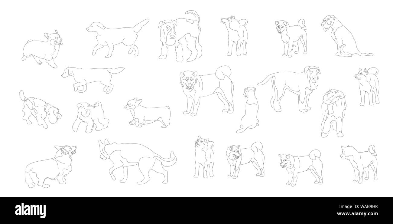 Set of different dogs. Big collection of dog breeds. Isolated on white ...