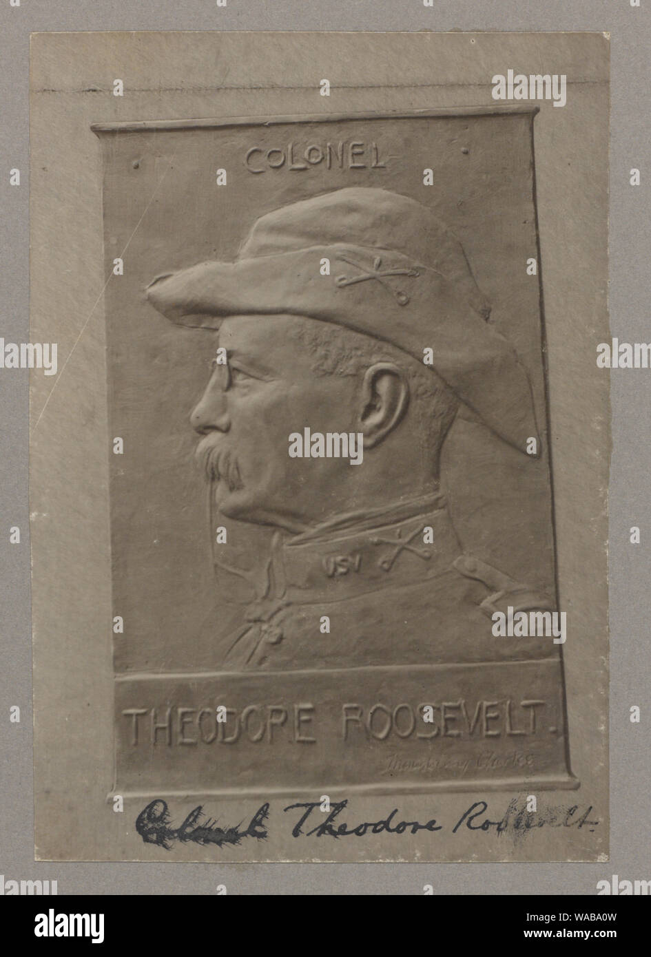 Colonel Theodore Roosevelt Stock Photo - Alamy