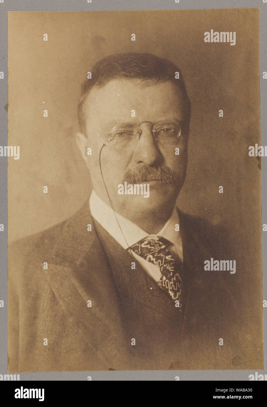 Colonel Theodore Roosevelt Stock Photo - Alamy