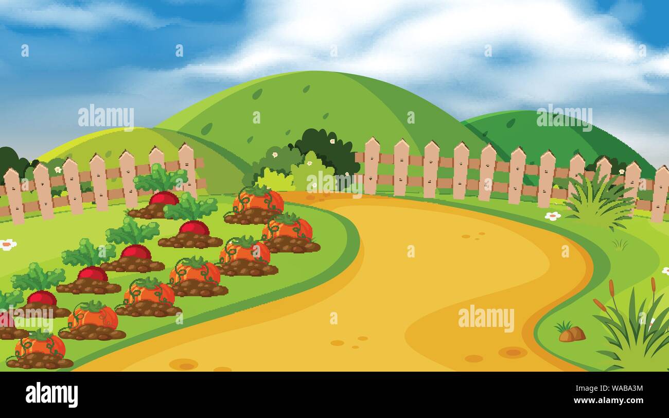 Landscape background design of vegetable garden illustration Stock ...