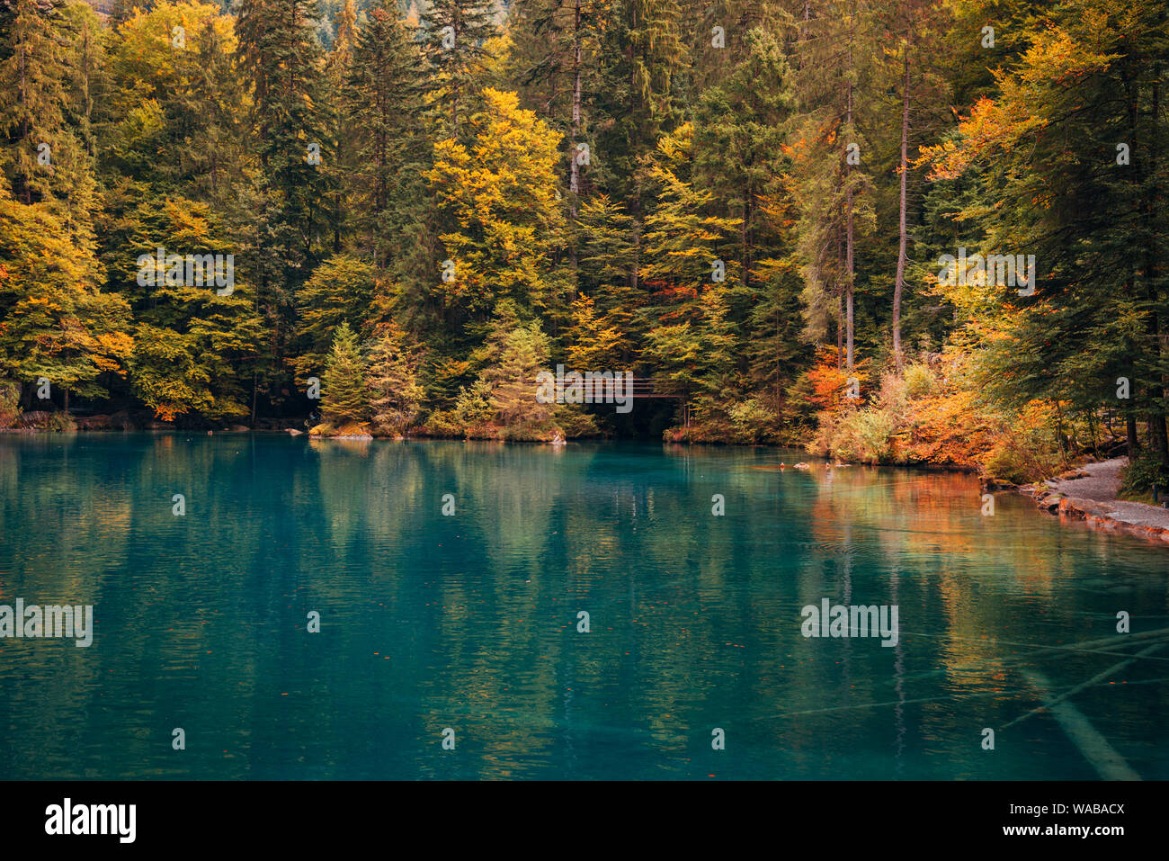 Autumn time at romantic forest lake Blausee, Switzerland Stock Photo ...