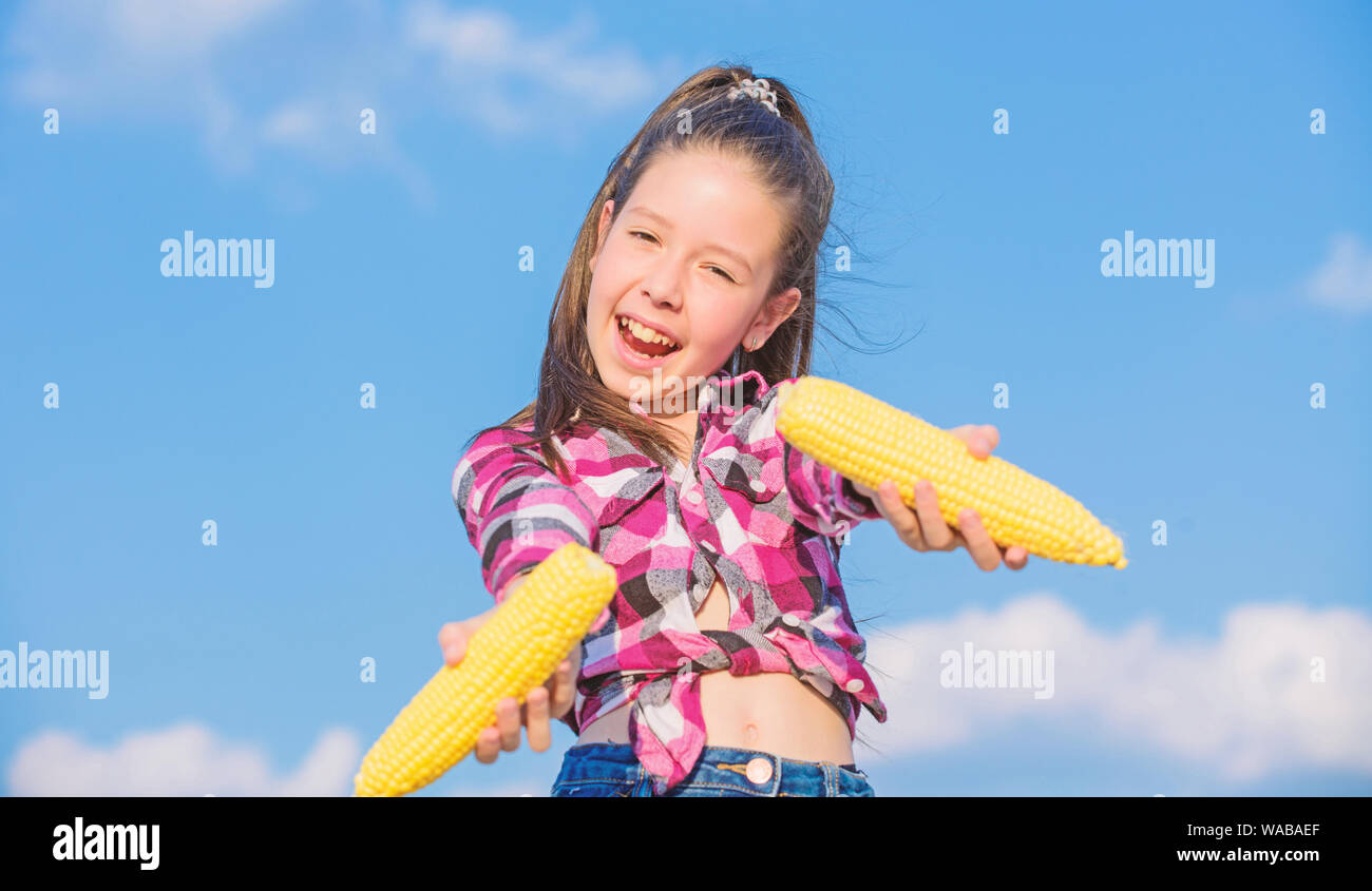 Girl cheerful hold ripe corns. Harvesting and fun. Kids love corn food ...