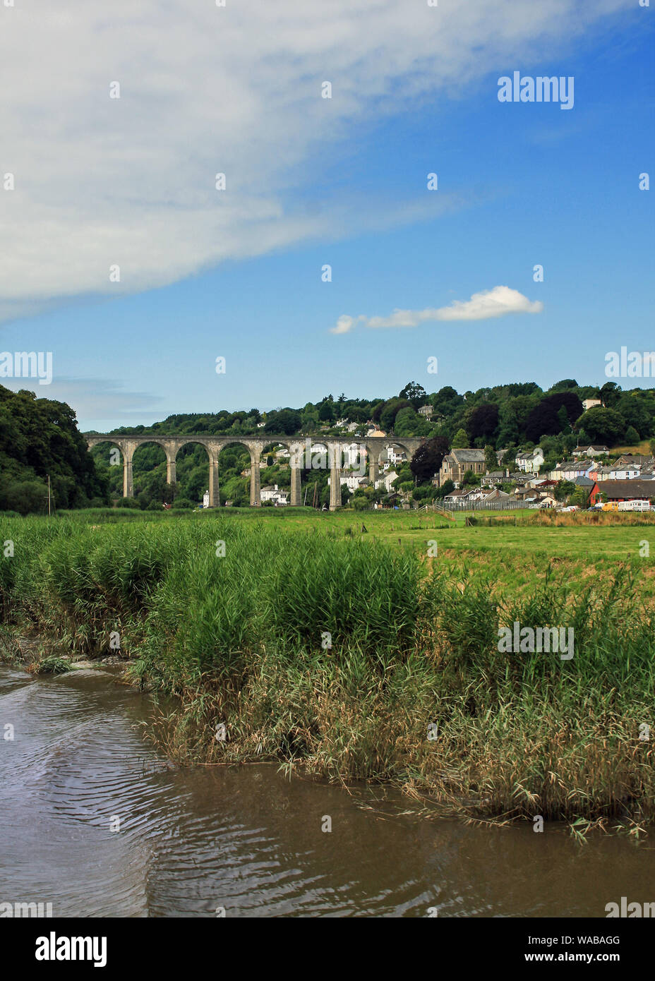 Calstock and railway viaduct on the banks of the River Tamar, Cornish ...