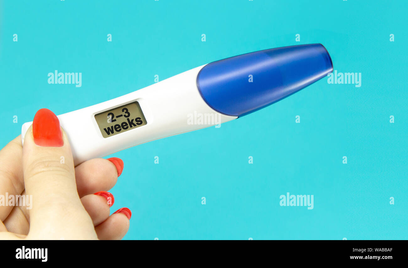 Woman hand holding digital pregnancy test isolated on blue color ...