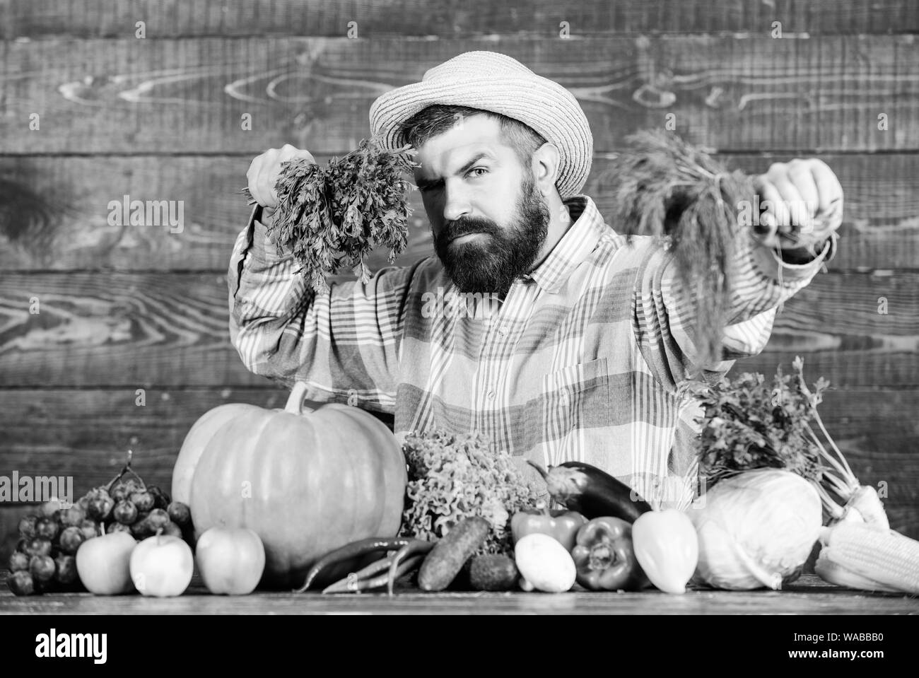 man chef with rich autumn crop. organic and natural food. happy ...