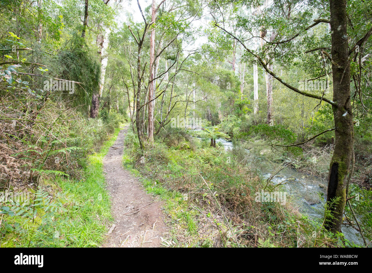Lorne victoria waterfall hi-res stock photography and images - Alamy