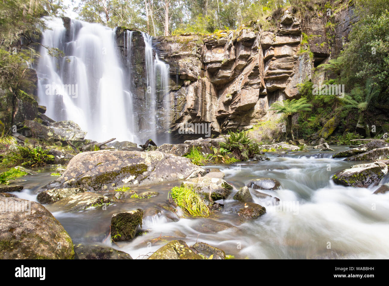 The world famous Phantom Falls, near Lorne, Victoria, Australia Stock ...
