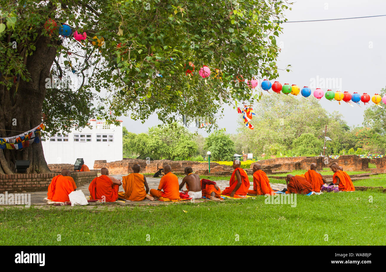 Buddhist monk resting under tree in Lumbini, Nepal Stock Photo - Alamy