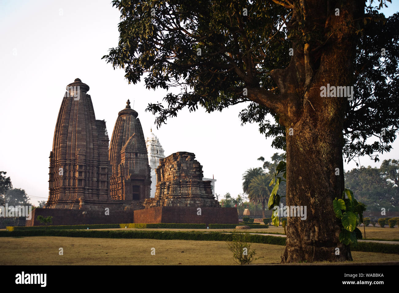 Ancient temples of Kalachuri ( India Stock Photo - Alamy