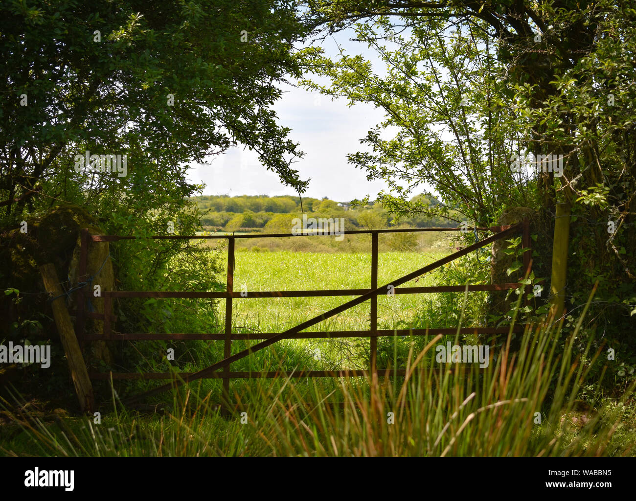 Old Iron metal field gate Stock Photo - Alamy
