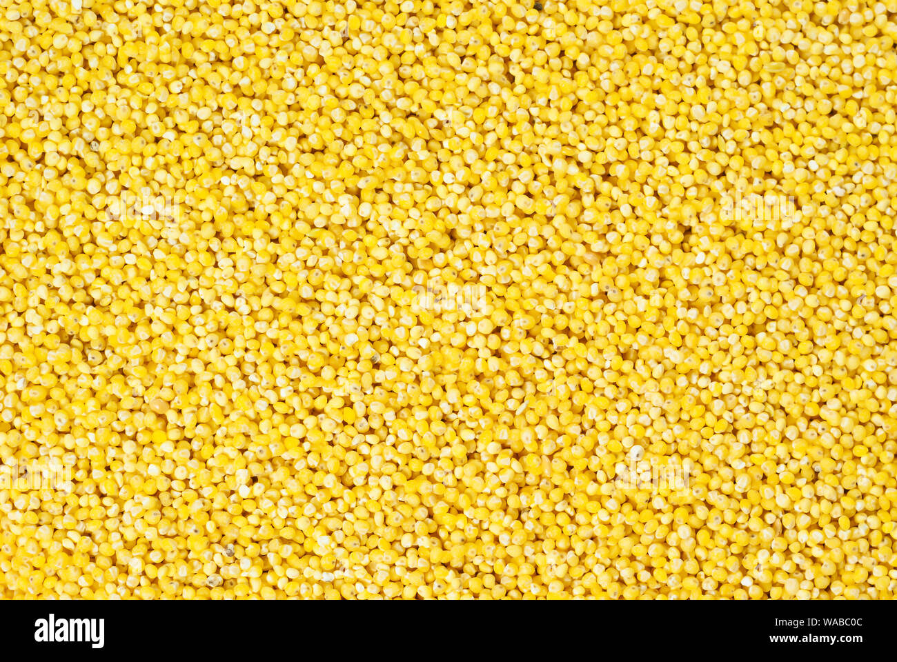 Pearl millet grain hi-res stock photography and images - Alamy