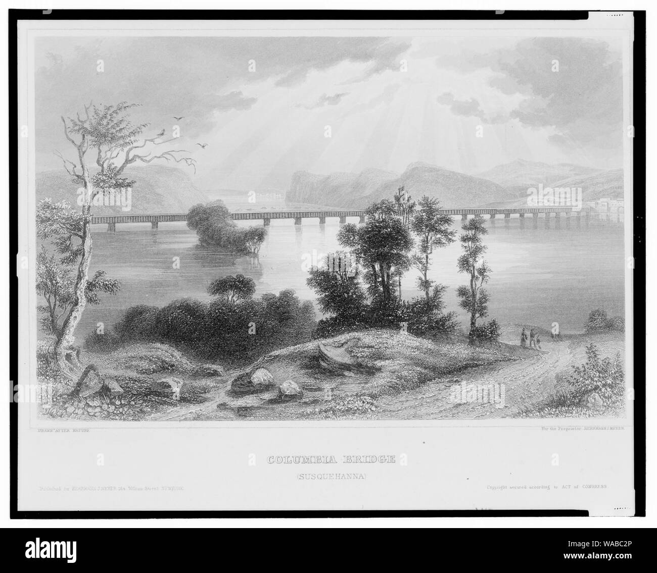 Columbia bridge (Susquehanna) / drawn after nature for the proprietor ...